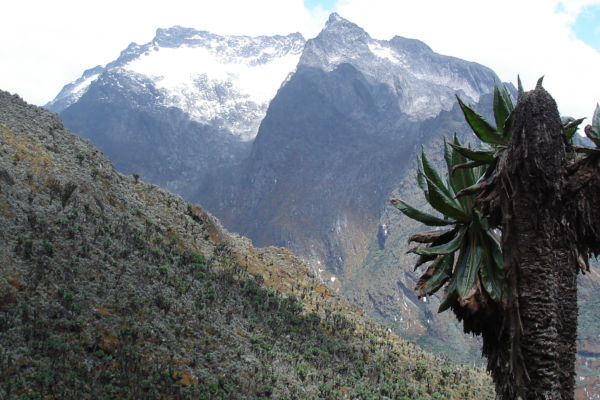 Mt Stanley 16,762’ / 5109m - Sierra Mountaineering International